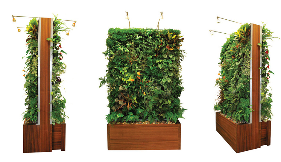 6sqft | plant wall design modular live vertical garden