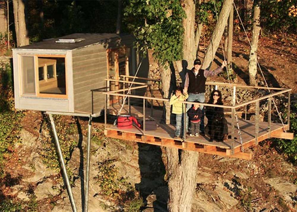 The Cliff House Is an Eco Treehouse Wrapped around a Maple Tree | 6sqft