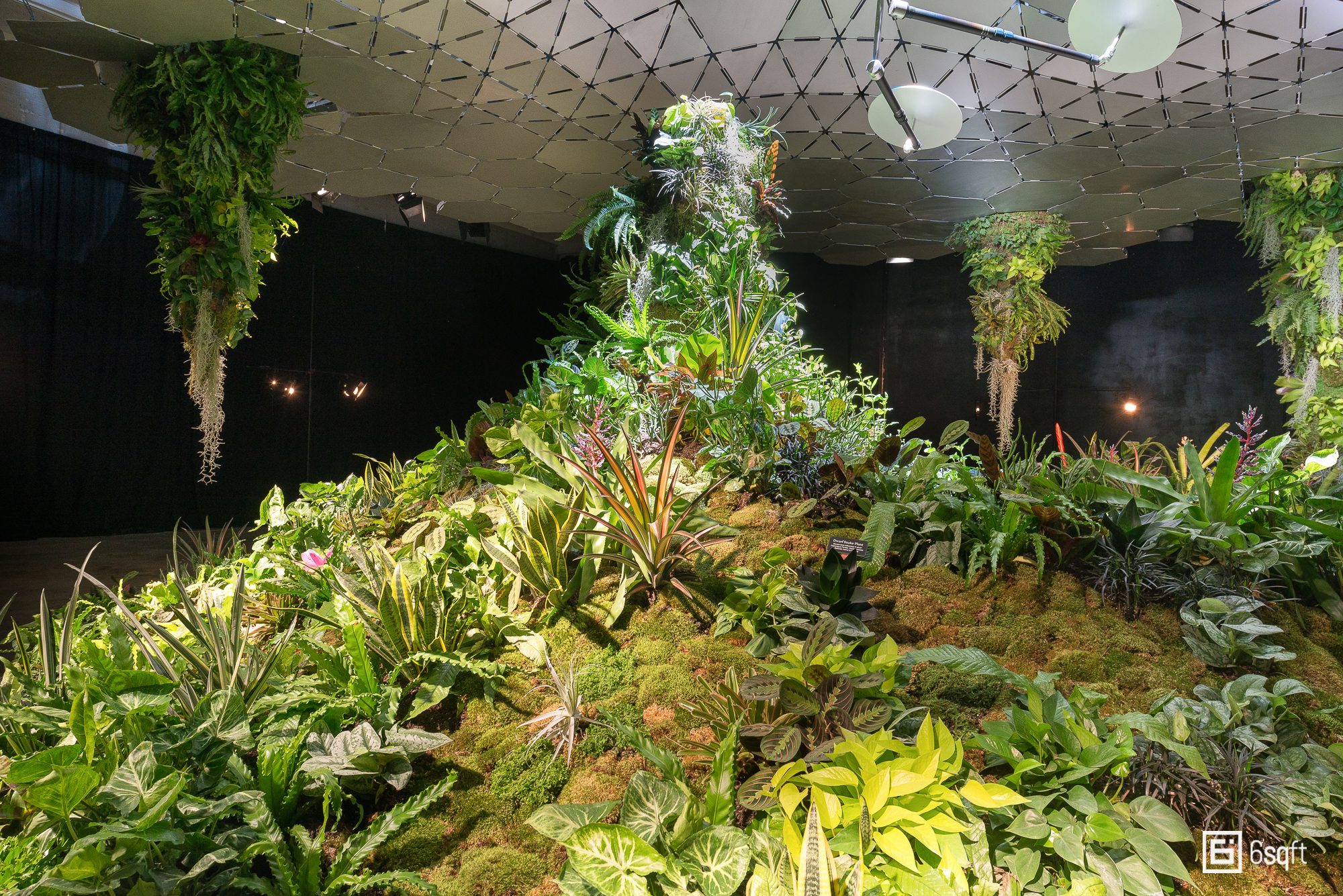 INTERVIEW: Lowline Creator James Ramsey Discusses the Challenges of ...